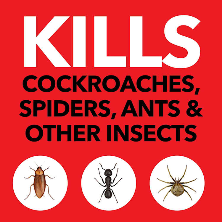 Raid One Shot Surface Odourless Crawling Insect Spray 375g | IGA Shop ...