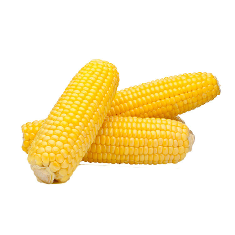 Sweet Corn Multipack | IGA Shop Online
